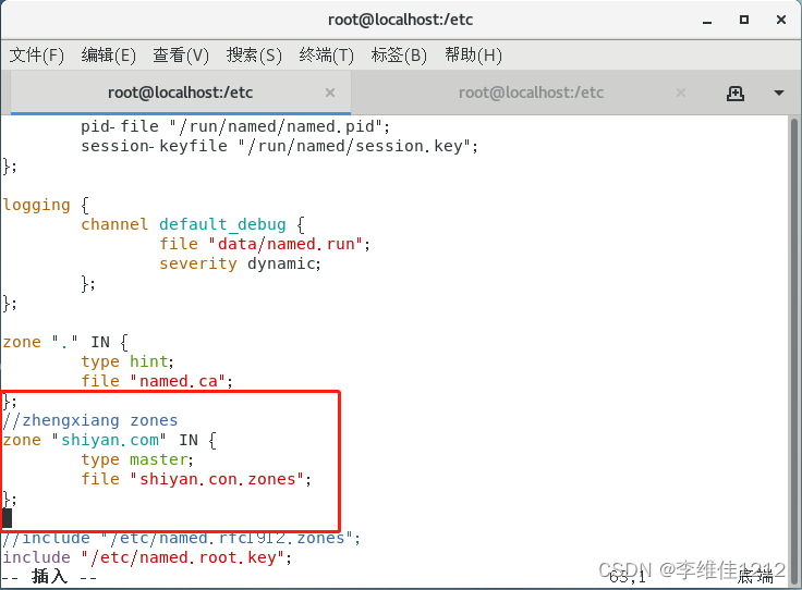 系统学习Linux-DNS服务器（一）_named zone 文件-CSDN博客