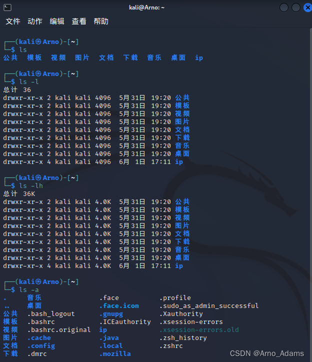 kali Linux学习笔记（基本BASH命令）_kali bash-CSDN博客