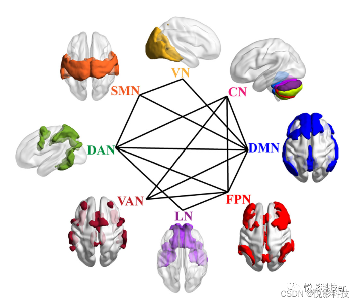 从时间变异性角度看睡眠剥夺后的异常动态功能连接_动态功能连接变异性公式-CSDN博客