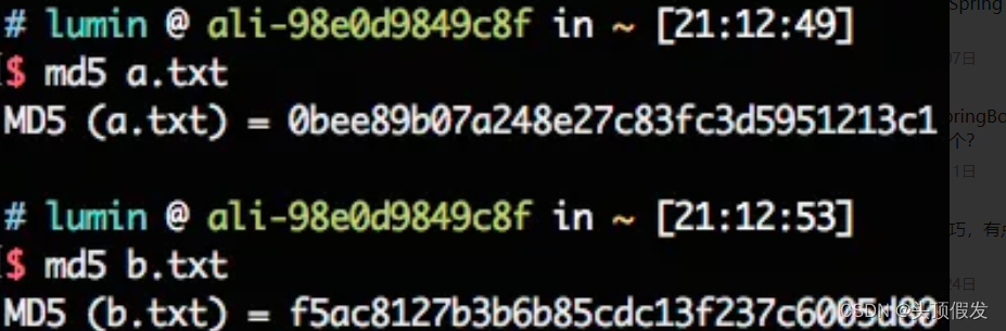 一致性 Hash 是什么?在负载均衡中的应用一致性hash作用 Csdn博客