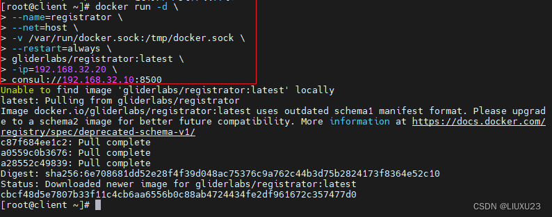 Docker-consul部署_docker 安装consul-CSDN博客