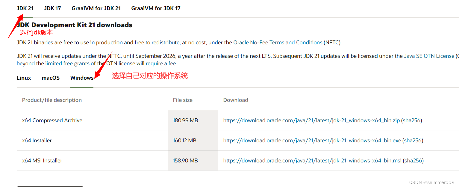 java初学者必知_jdk11和jdk21兼容吗-CSDN博客