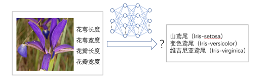 老白AI算法入门：手写四层BP神经网络解决IRIS分类问题（python）_uci数据集的iris数据-CSDN博客