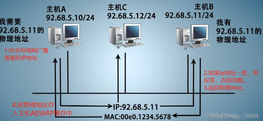 网络层（IP数据报格式、ARP协议）_arp 数据包还是 ip 数据包-CSDN博客