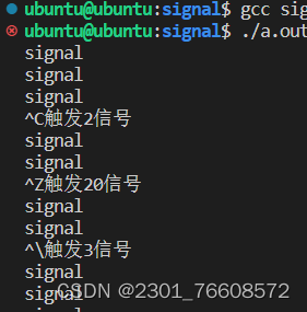 IO进程线程day8-CSDN博客