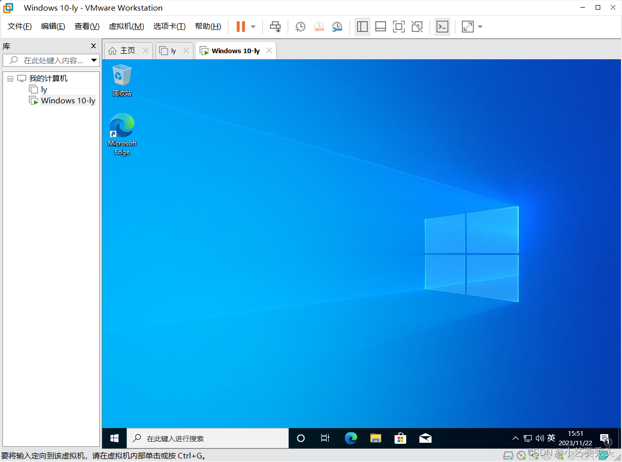 VMware虚拟机（Windows 10）最新(17版本）最最最！！！详细安装（小白必看版！）_vmware17-CSDN博客