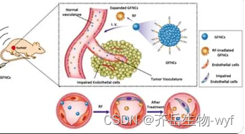 定制FITC/cy3/cy5荧光标记多肽生长因子/阳离子多肽/肿瘤血管靶向肽GX1/肿瘤细胞靶向肽/肿瘤微环境靶向肽/肿瘤细胞膜靶向肽等多肽的合成_cy5与离子化合物结合-CSDN博客
