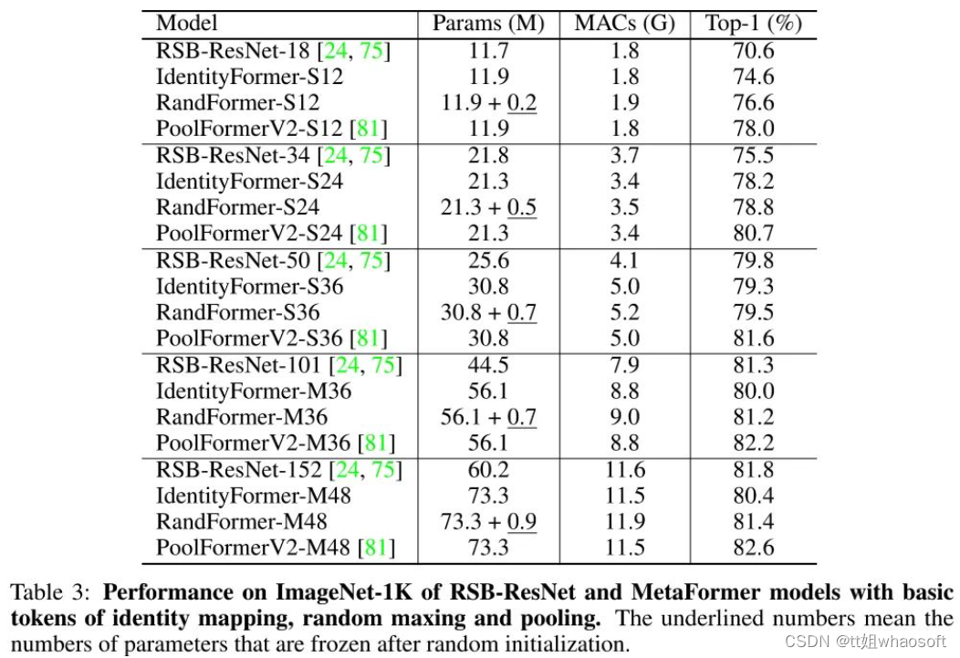 MetaFormer-1_metaformerv1-CSDN博客