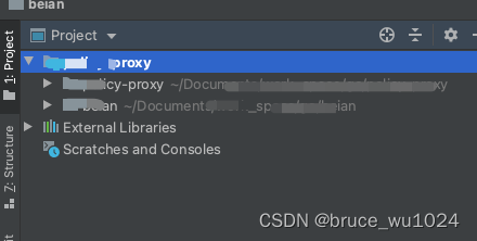 Goland(IDEA)上移除项目(同一个页面打开了多个project)_goland删除一个项目-CSDN博客