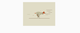 Android 图片加载框架Coil使用总结_android coil-CSDN博客