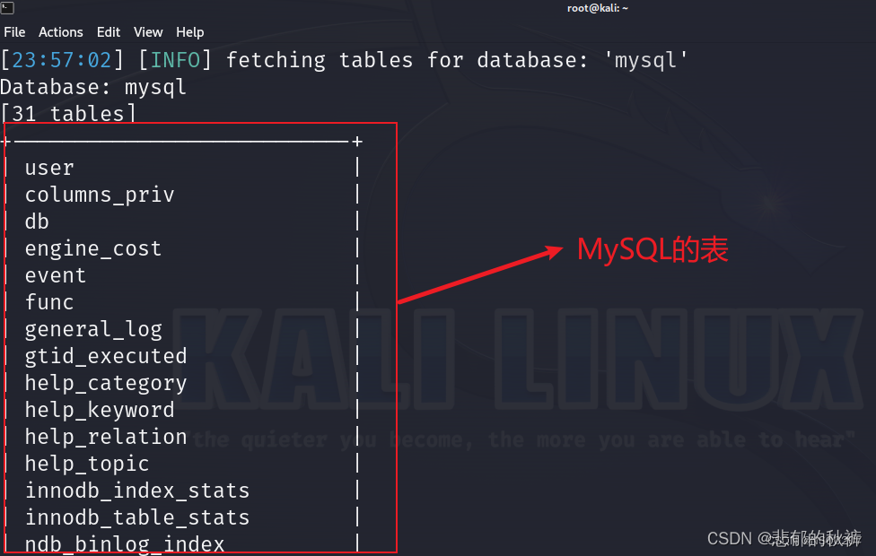 sqlmap基础使用-CSDN博客