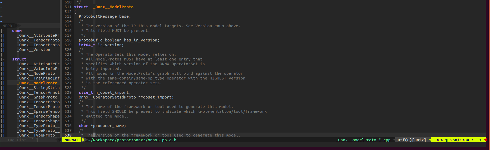 ONNX格式解析之google protobuf解析_onnx protobuf-CSDN博客