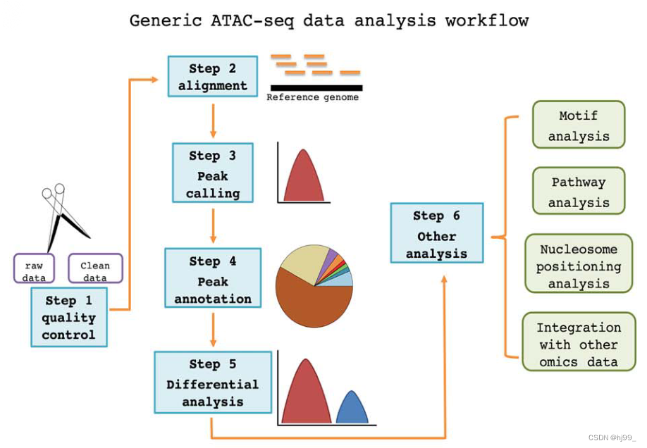 一般的ATAC-seq数据分析流程图_atacseq流程图-CSDN博客