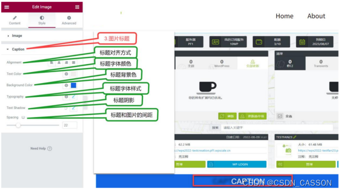 WordPress页面编辑器插件--Elementor-CSDN博客