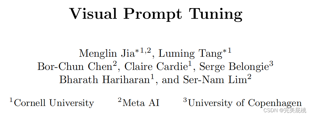 Visual Prompt-CSDN博客