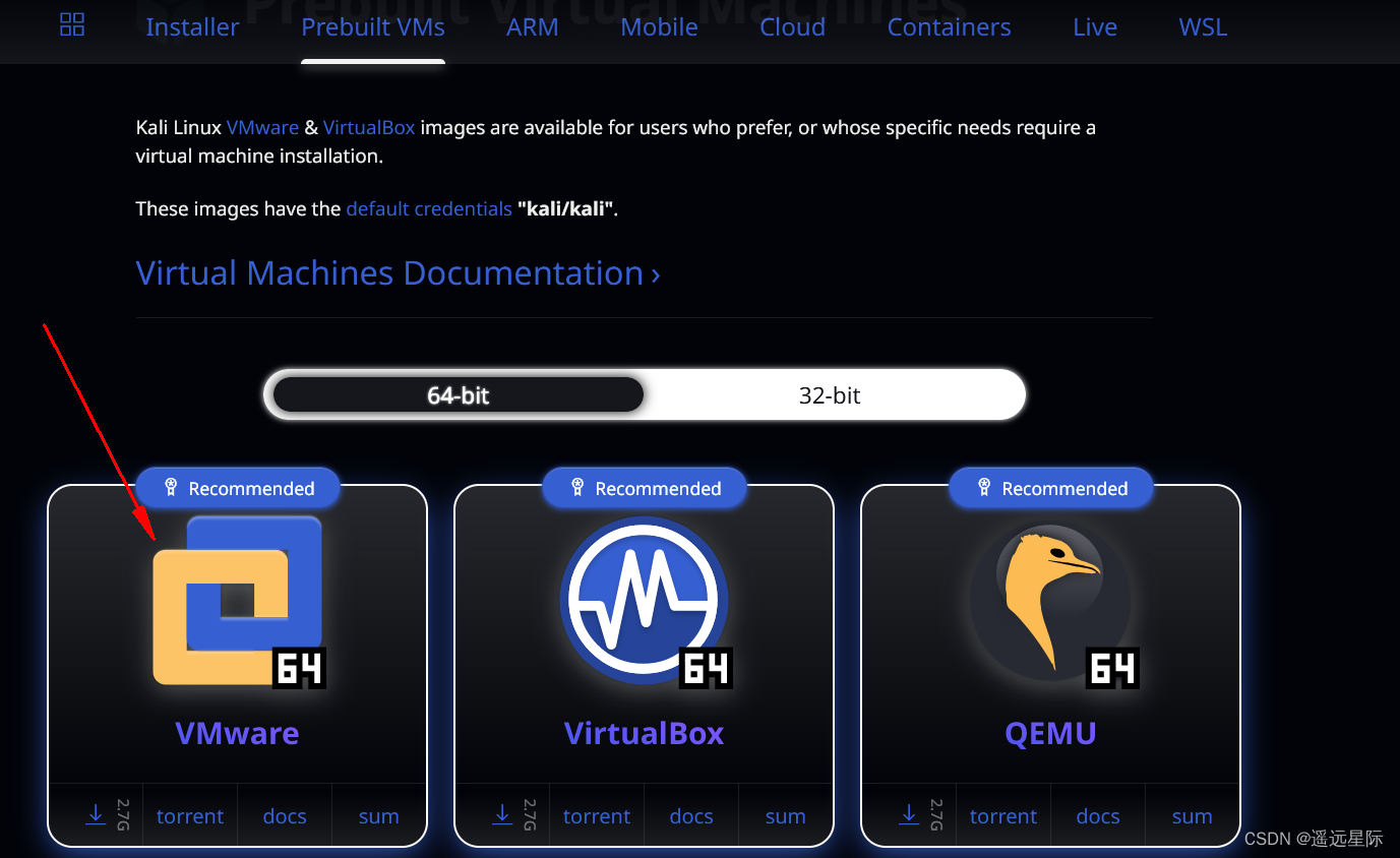 VMWare17+kali Linux2023全网最新最详细安装_kali linux 2021.3 vmware-CSDN博客