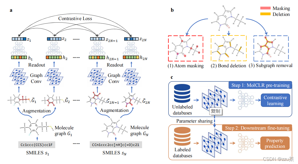 Molecular Contrastive Learning Of Representations Via Graph Neural