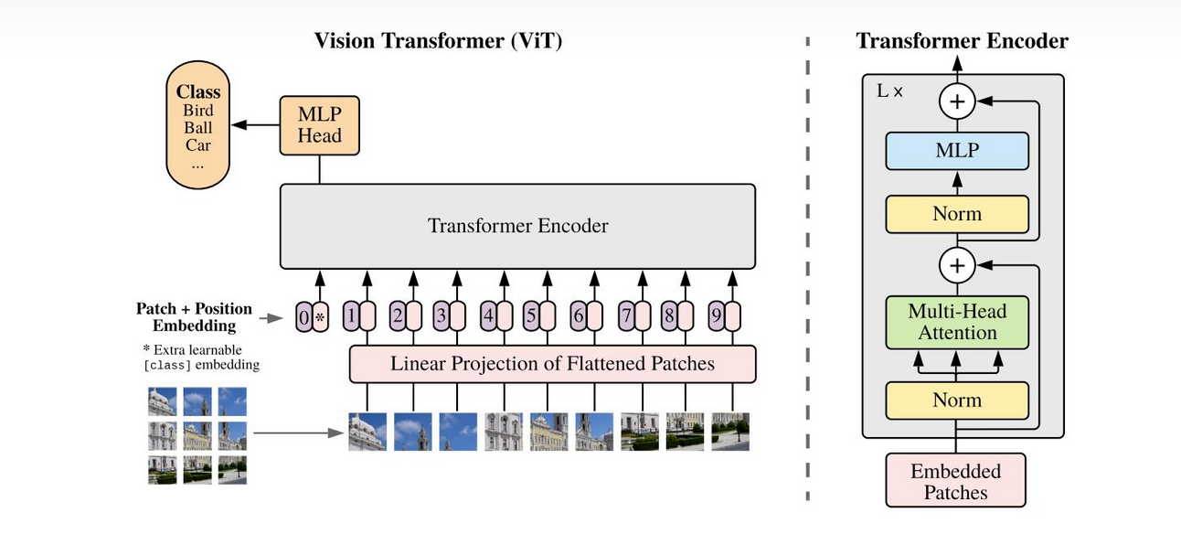 Vit-详解(结构拆分)_vit结构-CSDN博客