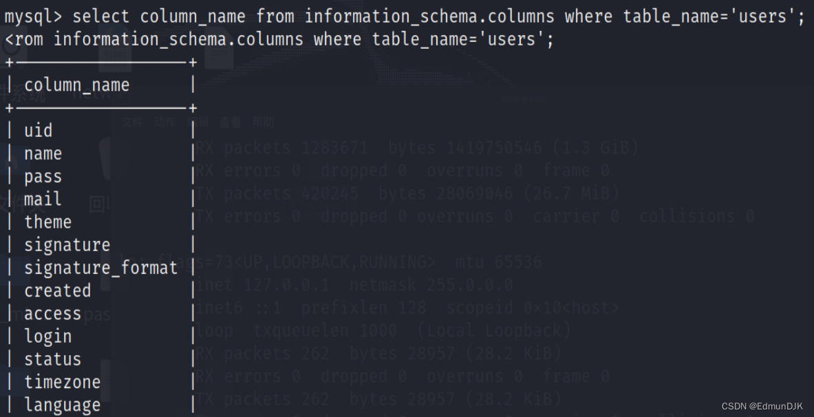 DAY29（DAY30拓展）：Vulnhub--靶机实战_actiontec mi424wr-gen3i wap-CSDN博客