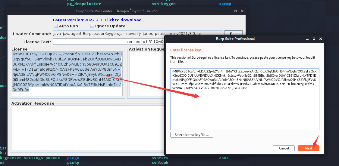 个人笔记：kali系统 安装burpsuite 2021pro_burpsuite2021专业版下载burploaderkeygen-CSDN博客