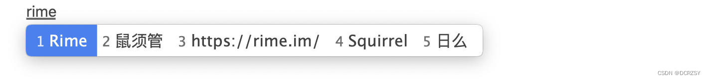 Rime Squirrel 鼠须管输入法配置详解_mac rime 配置-CSDN博客