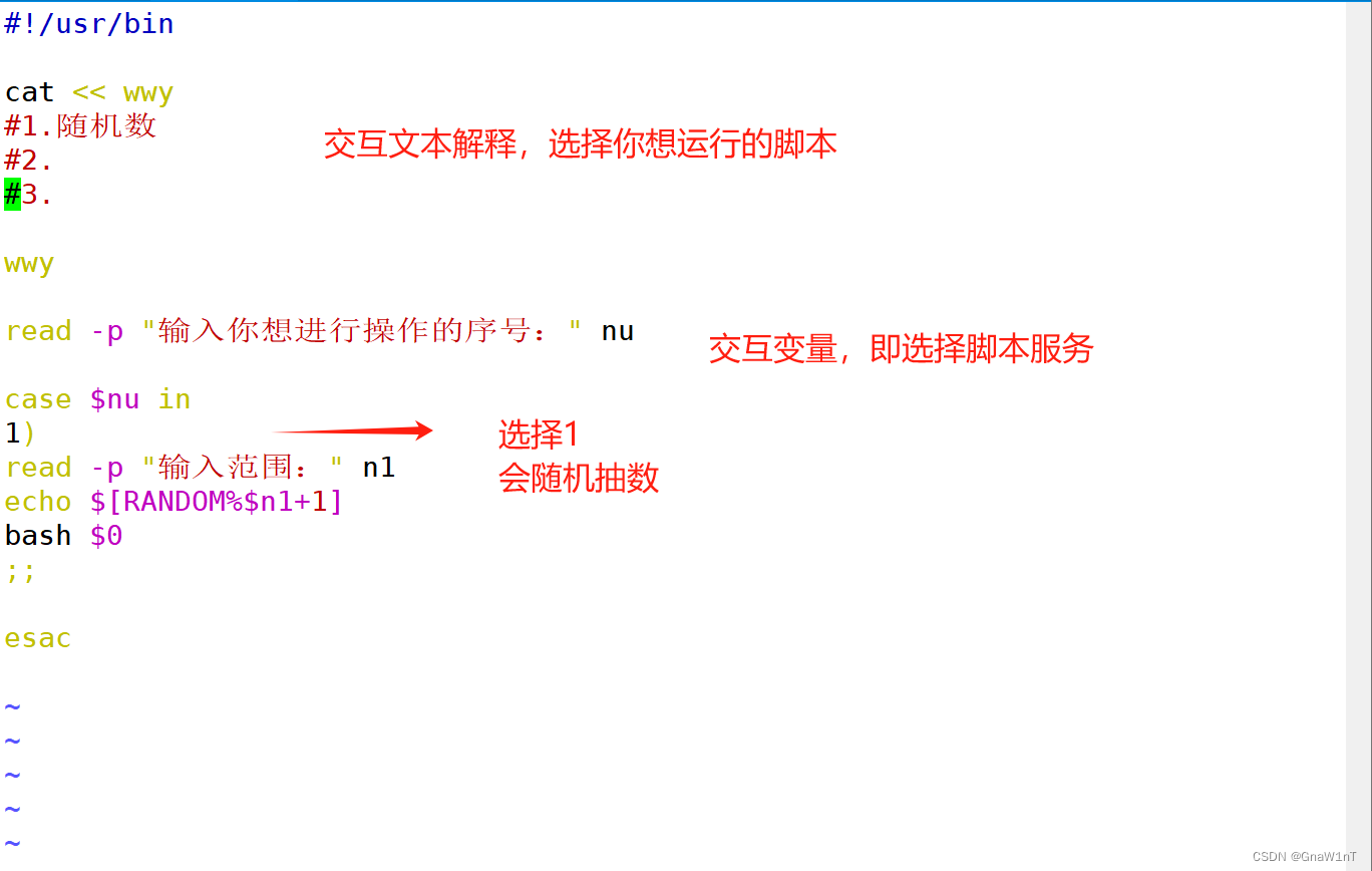 Shell脚本中的条件语句 Csdn博客