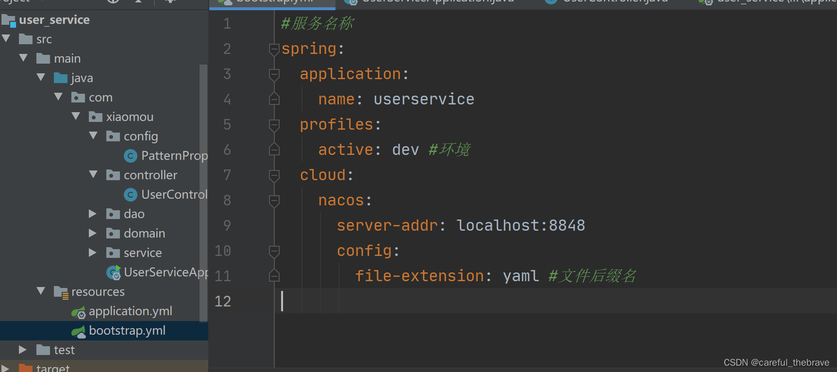 nacos的使用_java naocs配置pom-CSDN博客