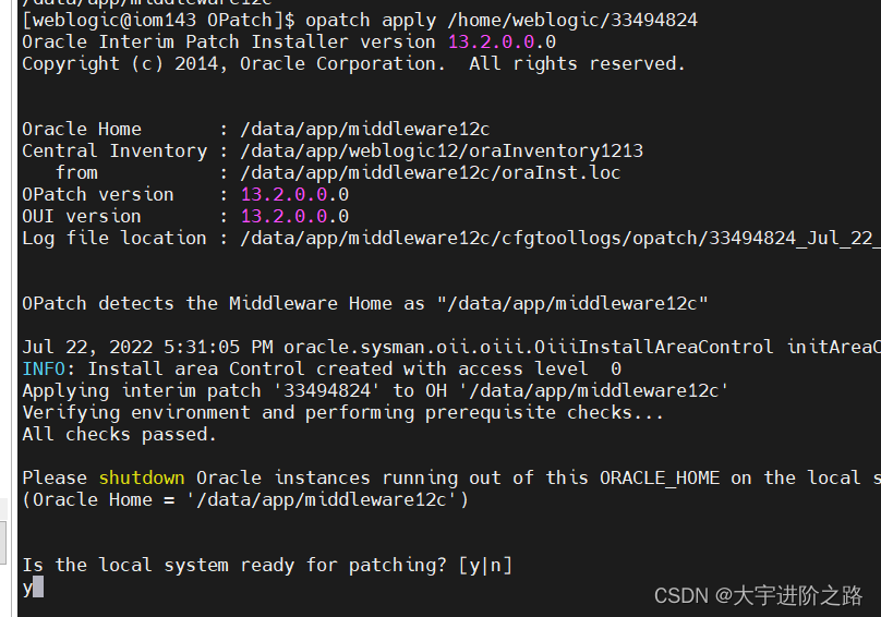 weblogic漏洞打补丁，安装OPatch补丁_weblogic11安装最新补丁集还有漏洞-CSDN博客