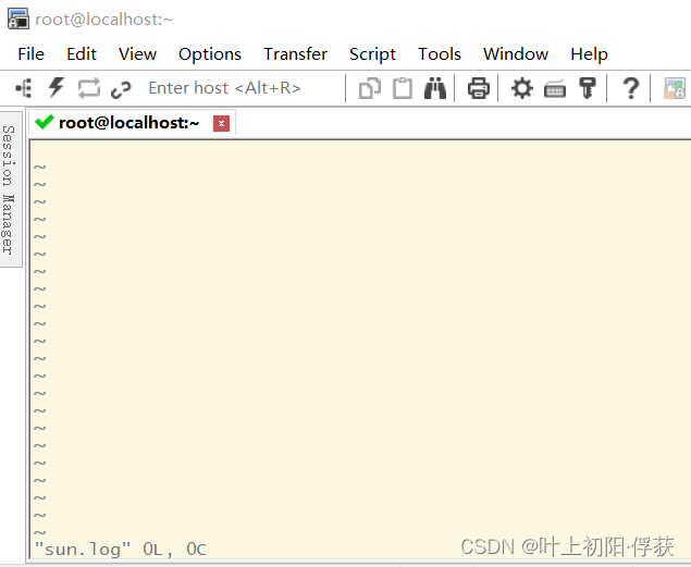 Linux中的环境变量和vim的使用_linux export path-CSDN博客