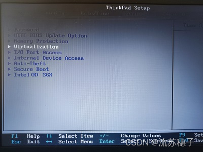 联想电脑ThinkPad配置虚拟机时出现“此主机支持 Intel VT-x，但 Intel VT-x 处于禁用状态” 解决方法_intel vt处于禁用状态 如何开启-CSDN博客