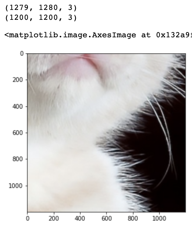 albumentations.HorizontalFlip、Rotate、RandomBrightnessContrast ...