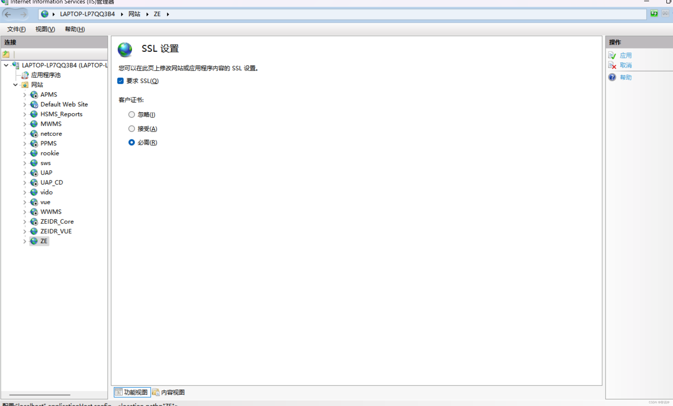 iis中部署https网站双向认证_iis openssl-CSDN博客