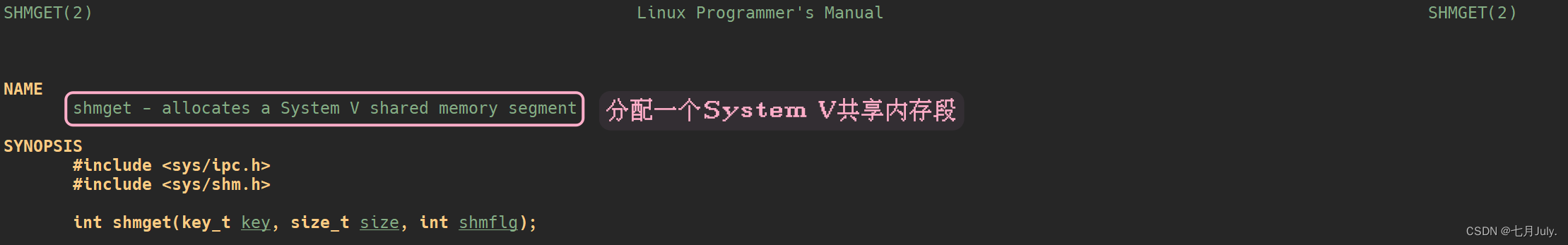 【Linux】[万字] 详解 System V: 共享内存原理、创建及使用-CSDN博客