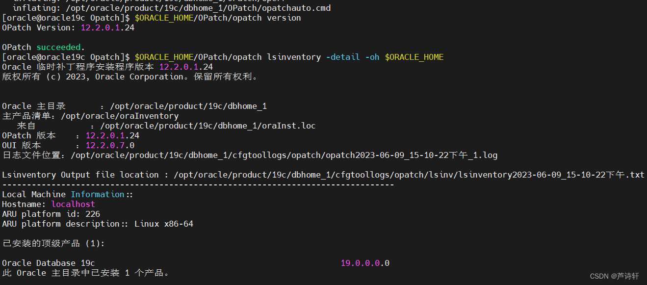 【oracle运维】oracle 19c 打补丁（p32218454）升级版本oracle19c最新补丁 Csdn博客 