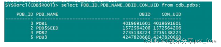 Oracle 19c容器数据库概念与cdb Pdb常用管理操作oracle Cdb Csdn博客