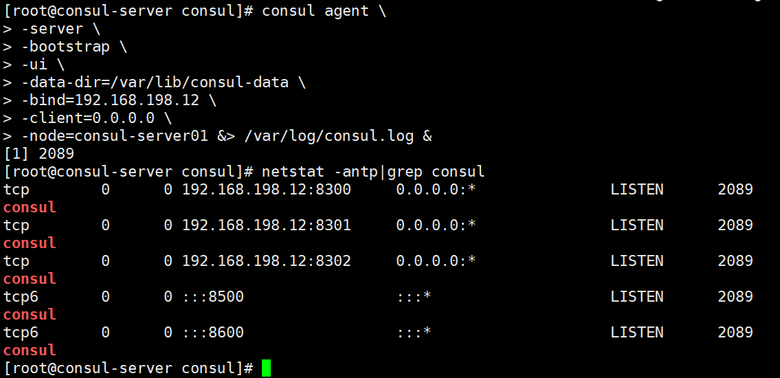 Docker容器：docker consul的注册与发现及consul-template守护进程_docker 注册发现-CSDN博客