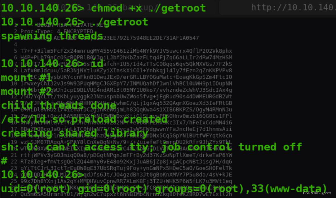 TryHackMe-0day（boot2root）_【tryhackme】0day-CSDN博客