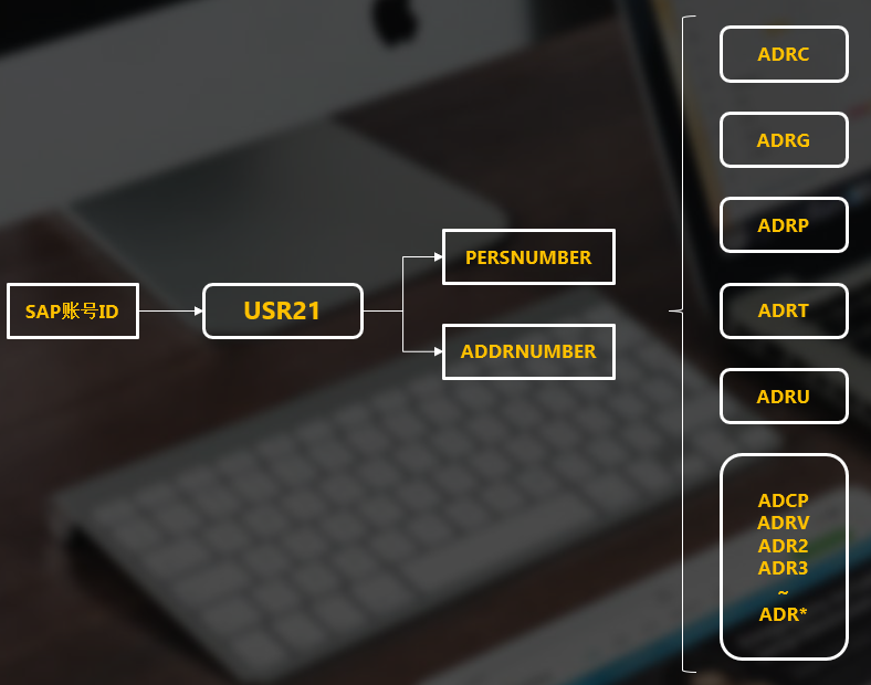 SAP-常见取数逻辑-001-用户信息_sap select usr21-CSDN博客