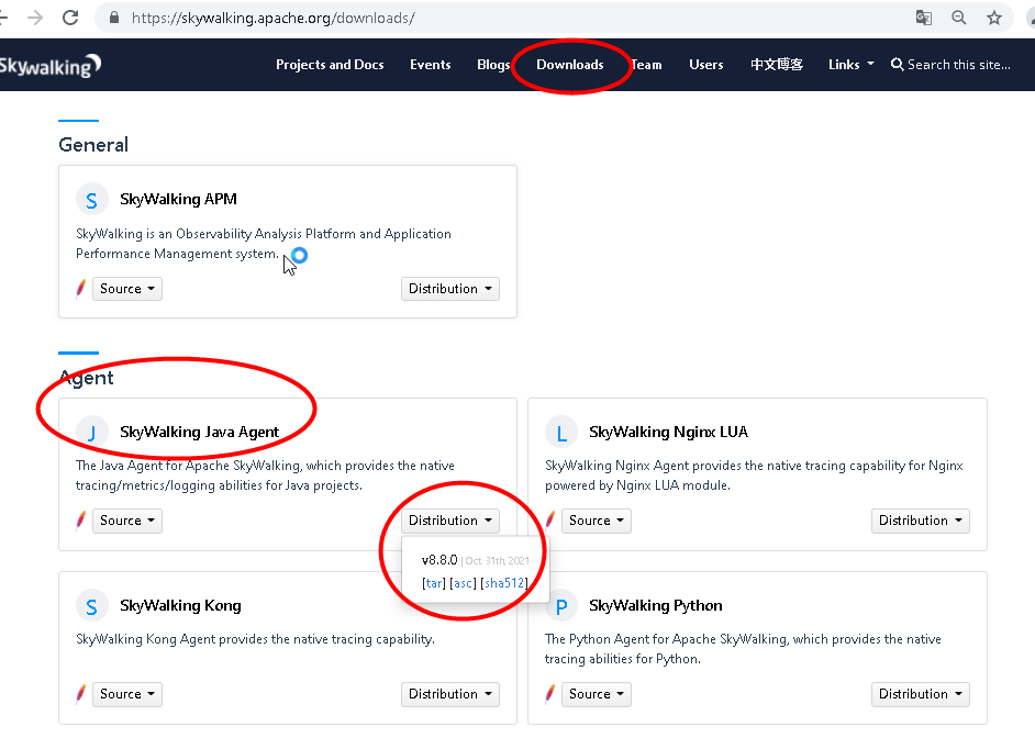 5.SpringCloud：Skywalking链路追踪和应用监控_skywalking链路获取tag_zyplanke的博客-CSDN博客