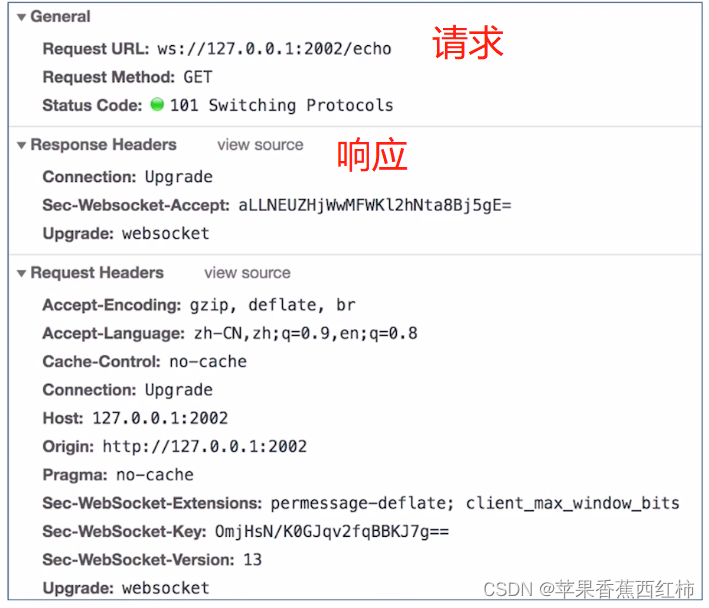 Go 进阶 Websocket Go Websocjet Csdn博客