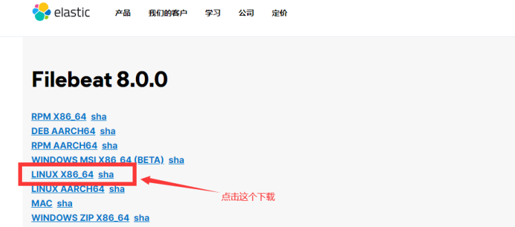 [有手就行]filebeat零基础安装教程_filebeat安装-CSDN博客