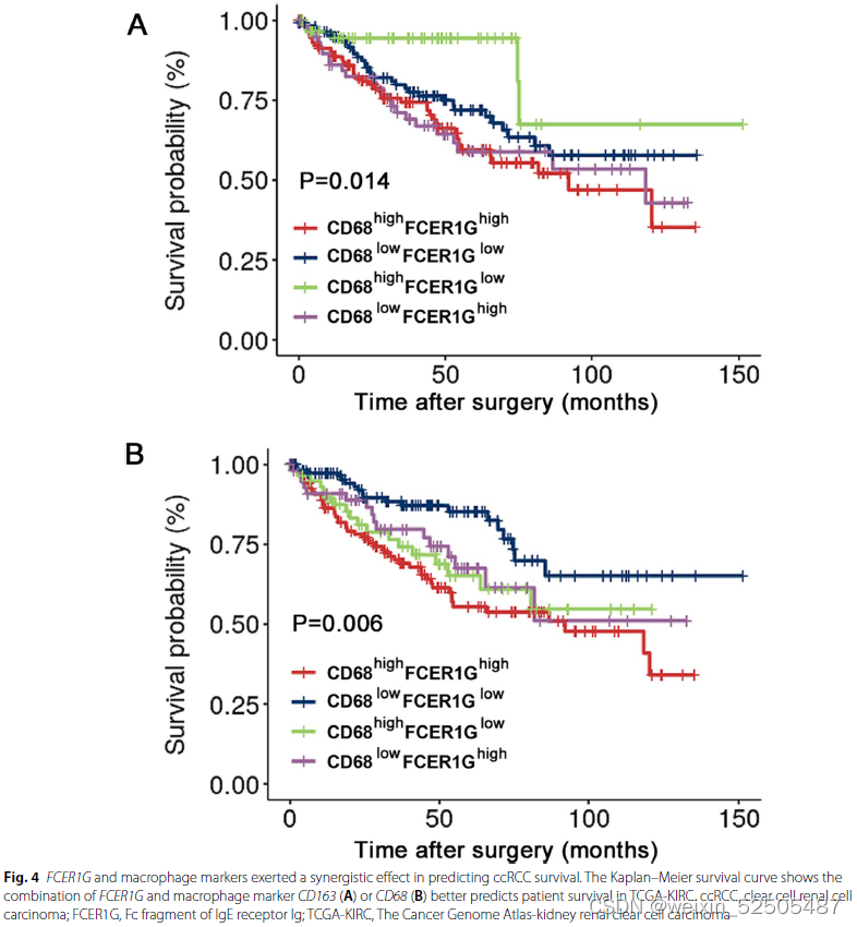 文献阅读-FCER1G与透明细胞癌中巨噬细胞的浸润相关并且通过调节肿瘤免疫产生不良预后-CSDN博客