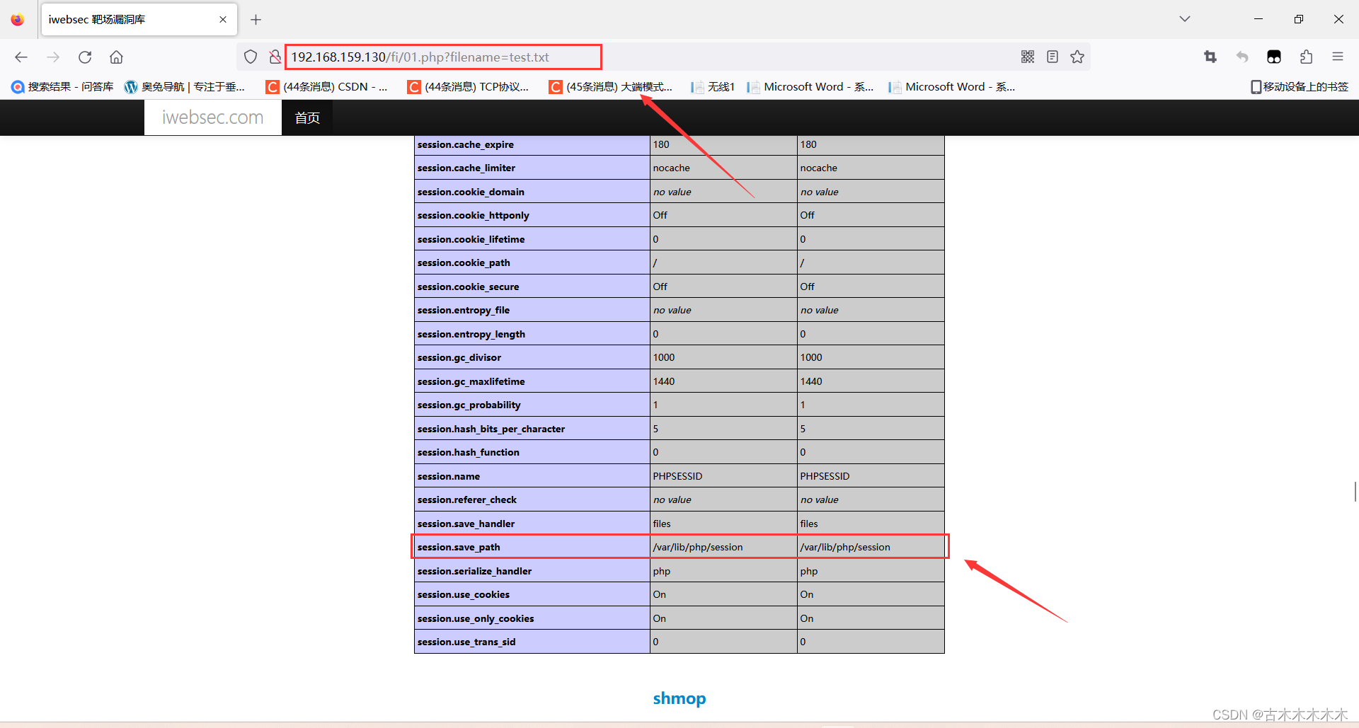 iwebsec靶场文件包含漏洞-session本地包含_iwebsec文件包含漏洞-CSDN博客