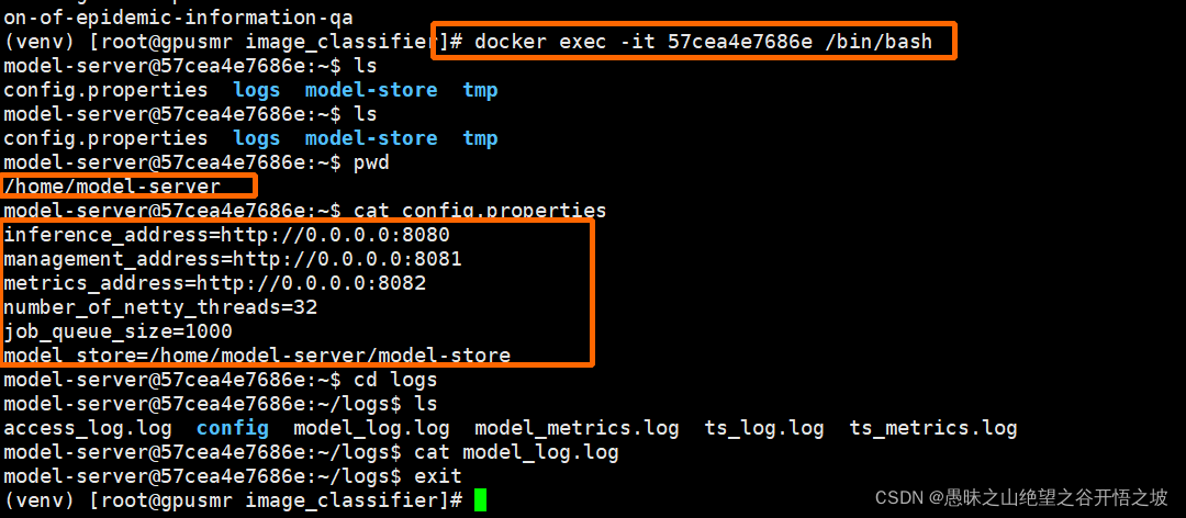 Torchserver模型本地部署和docker部署torch Model Archiver Csdn博客
