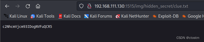 Vulnhub: Mission-Pumpkin v1.0: PumpkinGarden靶机_pumpkinfestival vulnhub-CSDN博客