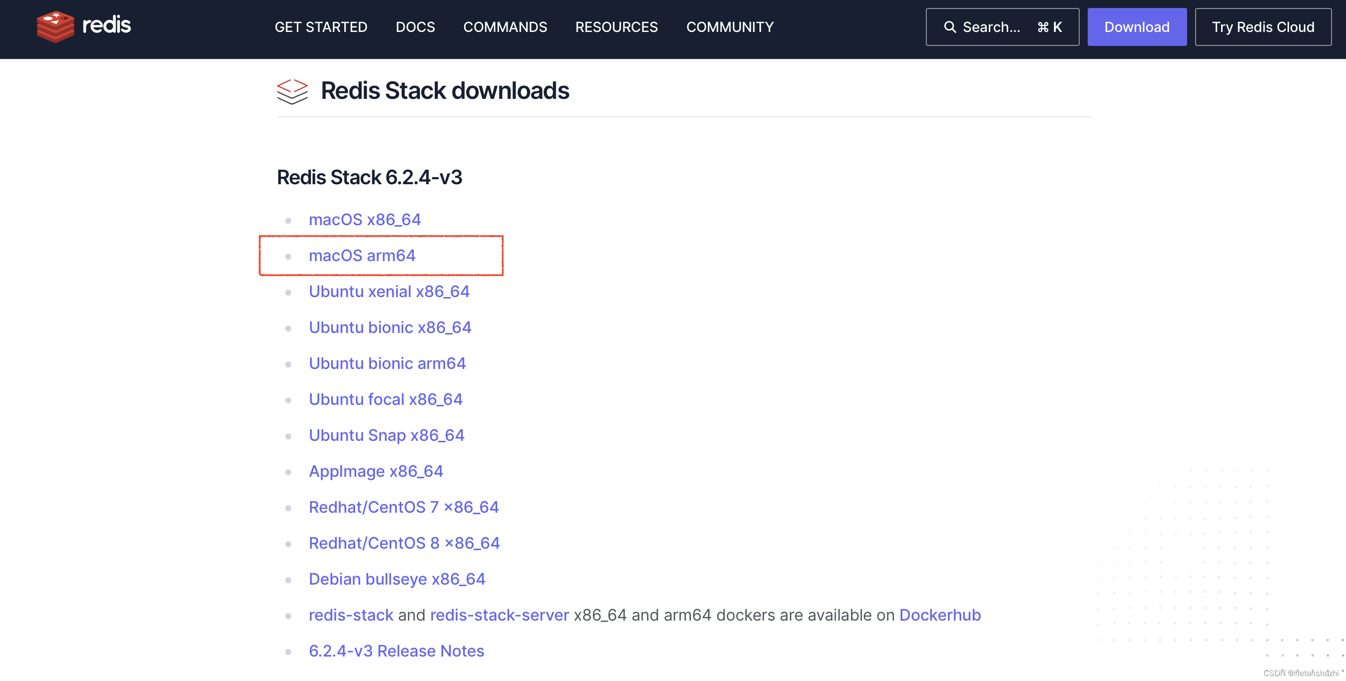 新电脑 MACMAC M2 安装redis Stack 6_mac m2 安装 redis-CSDN博客