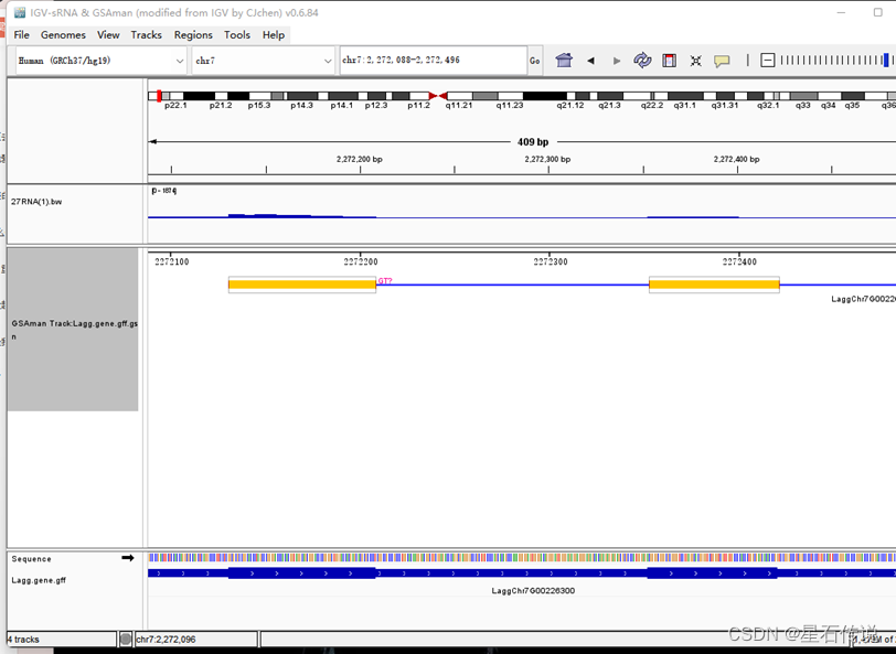 实验篇——了解IGV-GSAman_gsaman 简书-CSDN博客