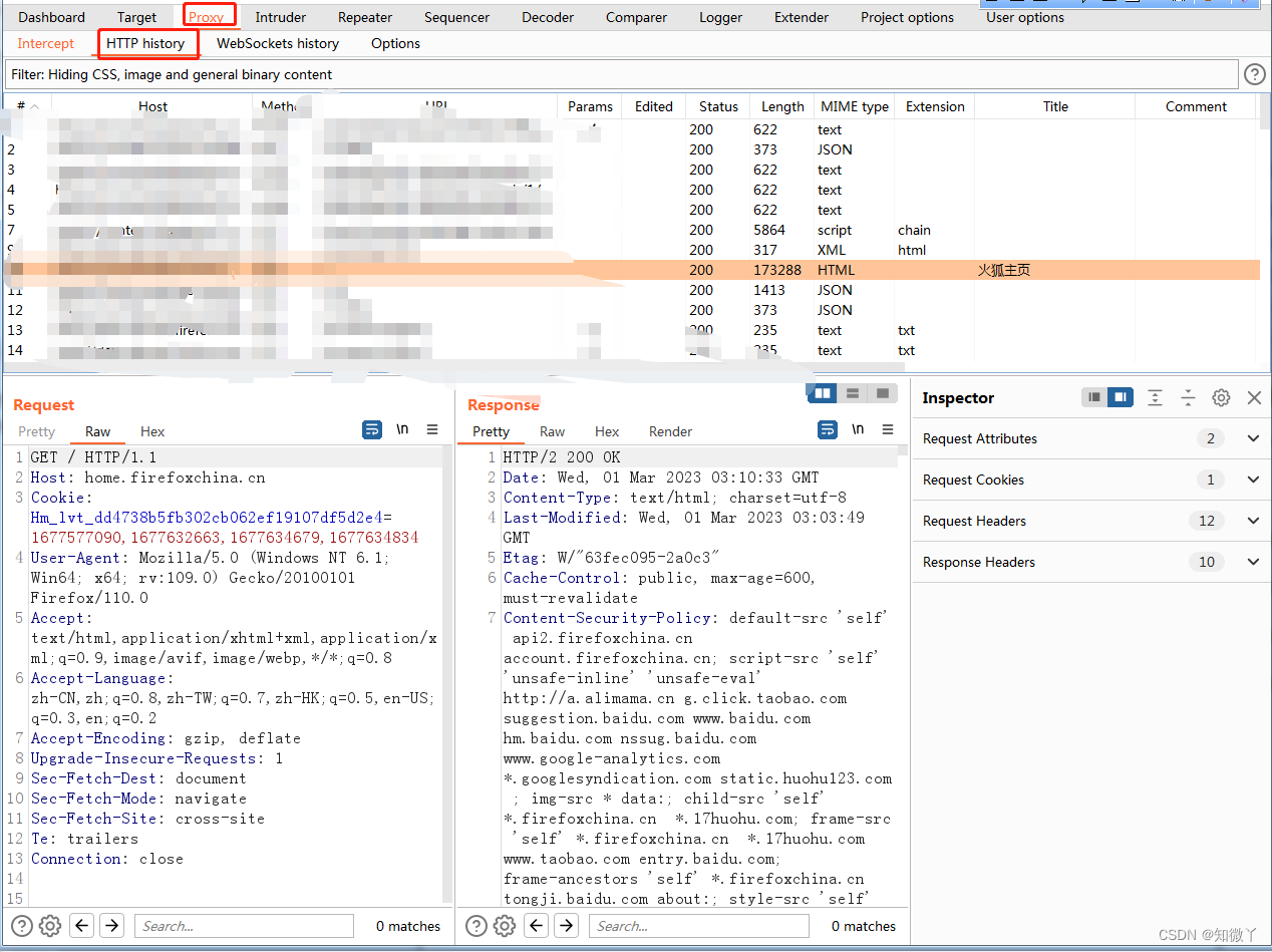 Windows 上Burp Suite的安装与使用_burpsuite windows-CSDN博客