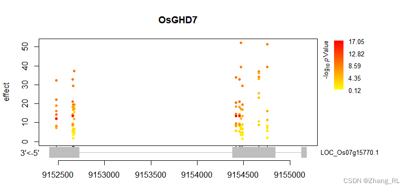 geneHapR做基因单倍型分析-CSDN博客